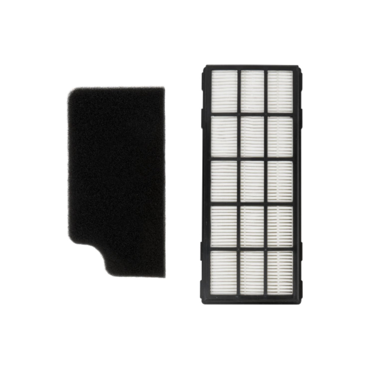 Riccar HEPA and Electrostatic Vibrance R20P and R20D Filter Set (RF20D ...